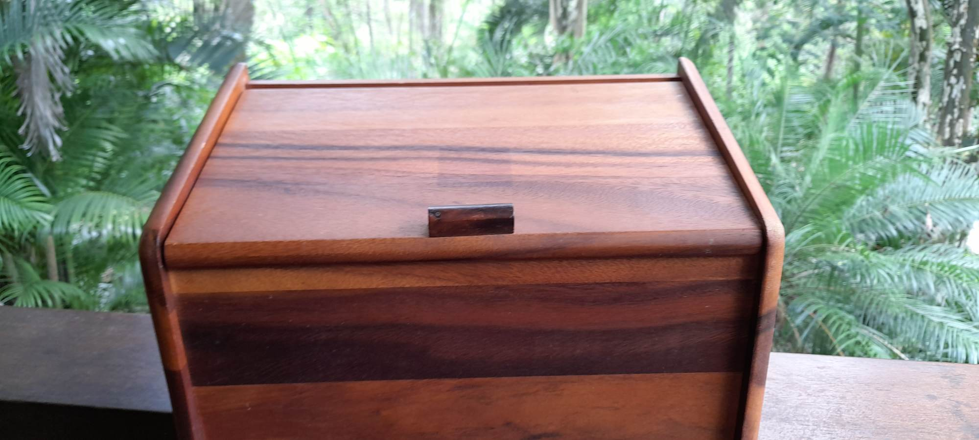 Seed Libraries – Brisbane Edible Gardening