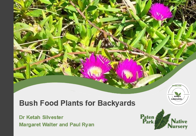 Bush Food Plant Book – Brisbane Edible Gardening