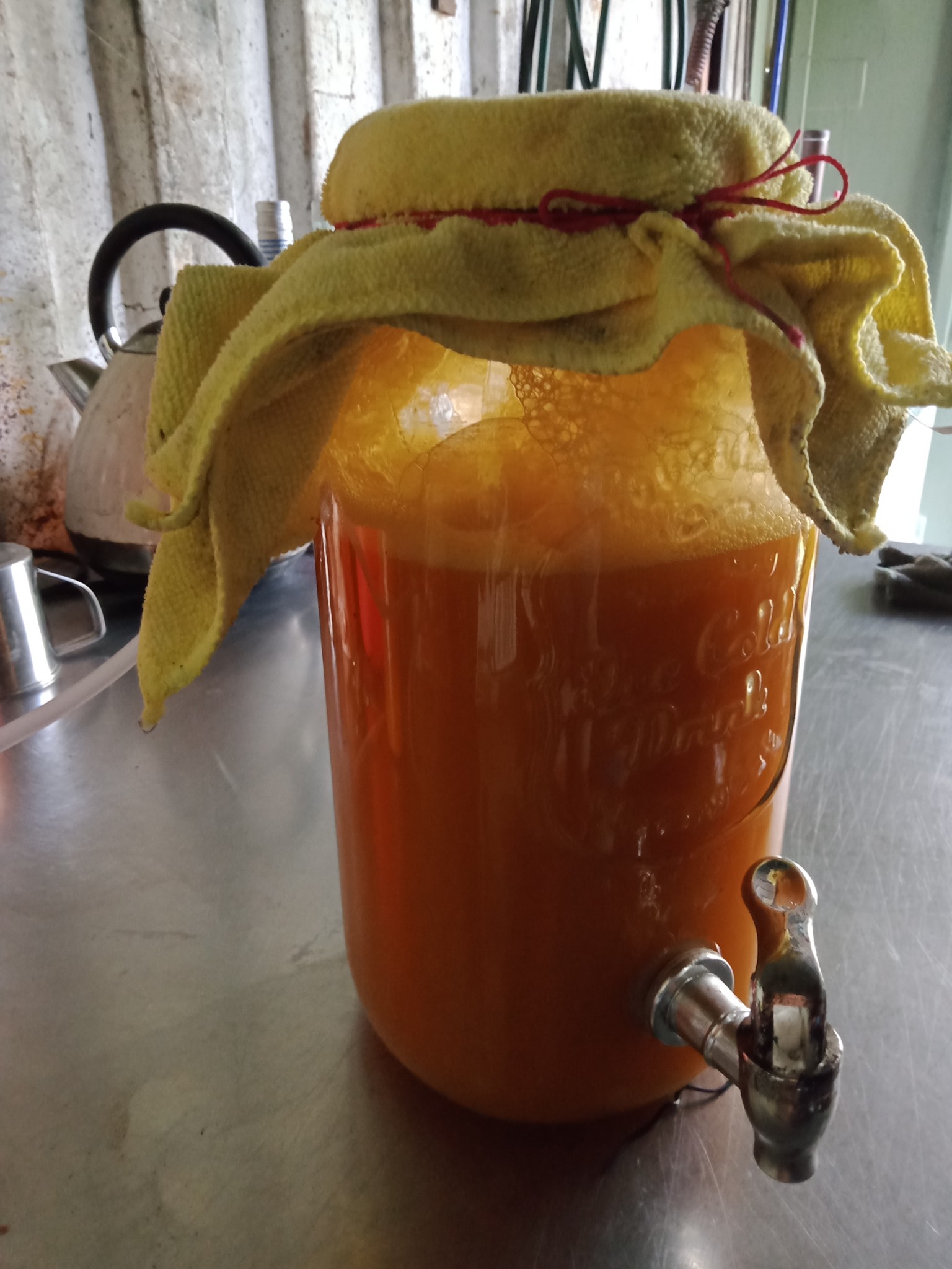 Pumpkin Vinegar – Brisbane Edible Gardening