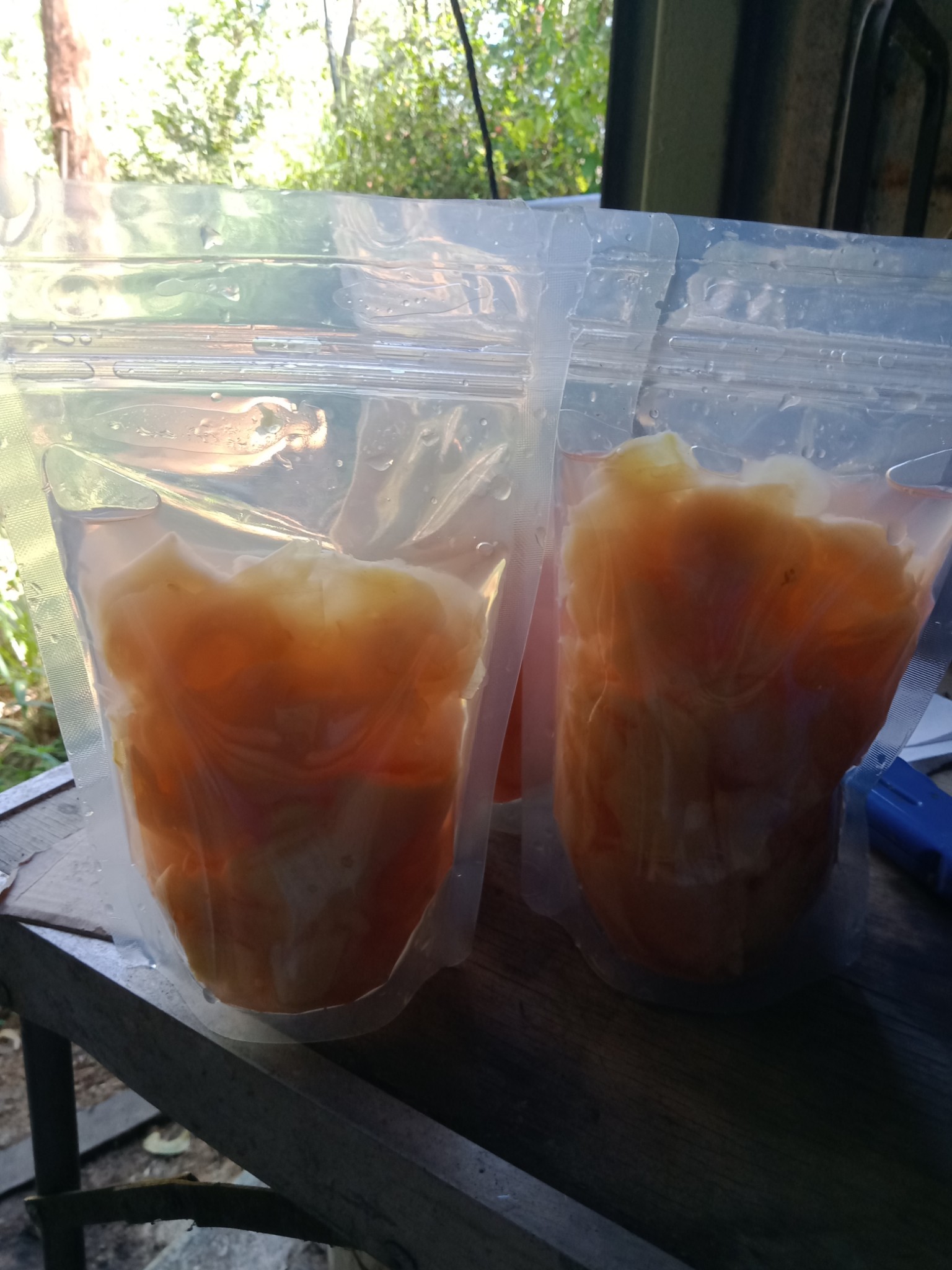 Ginger for Sushi – Brisbane Edible Gardening