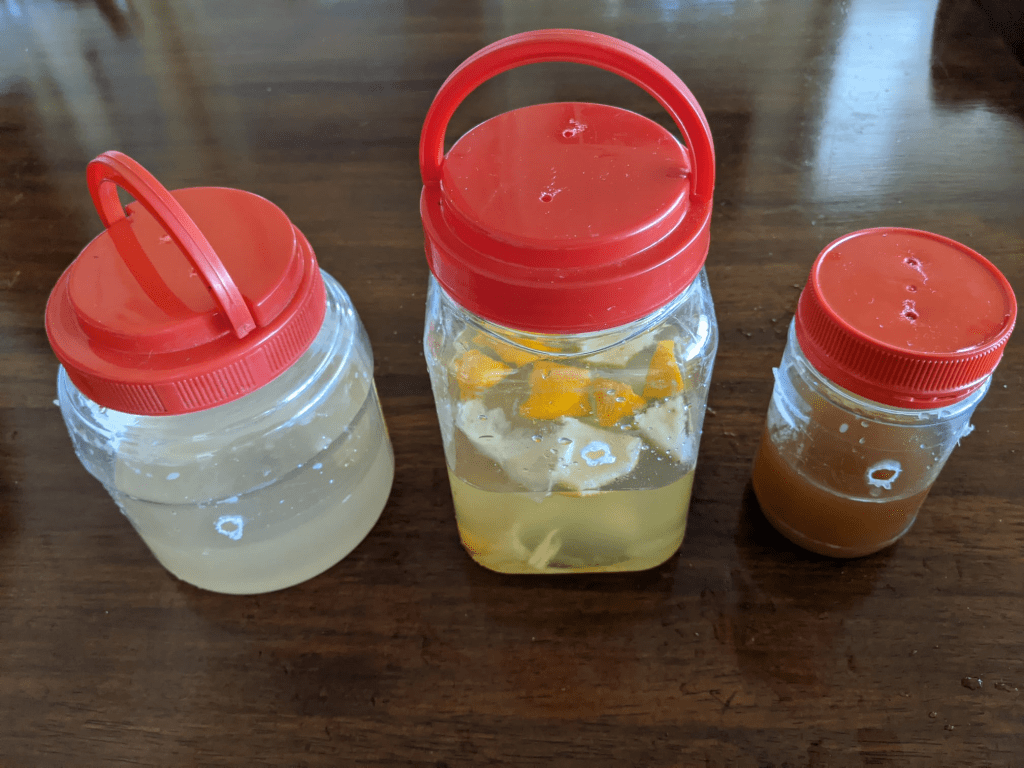 Fruit Fly Control – Brisbane Edible Gardening