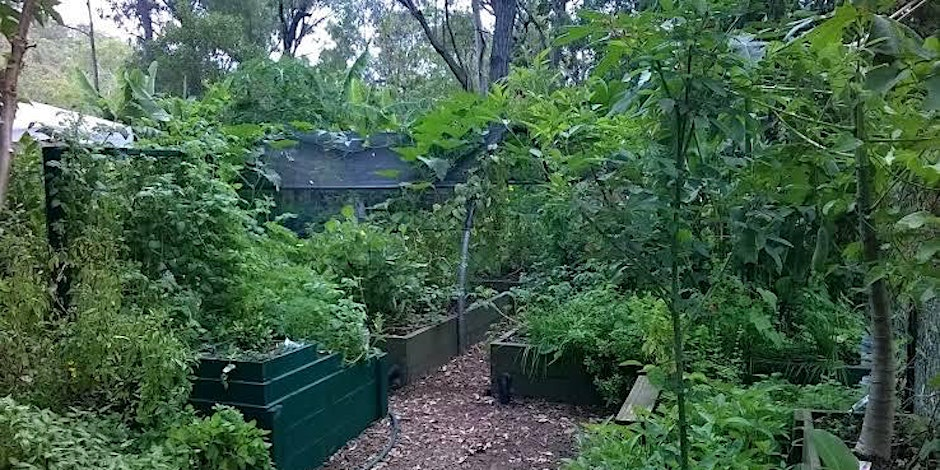 Community Food Forests & Orchards Workshop – Brisbane Edible Gardening