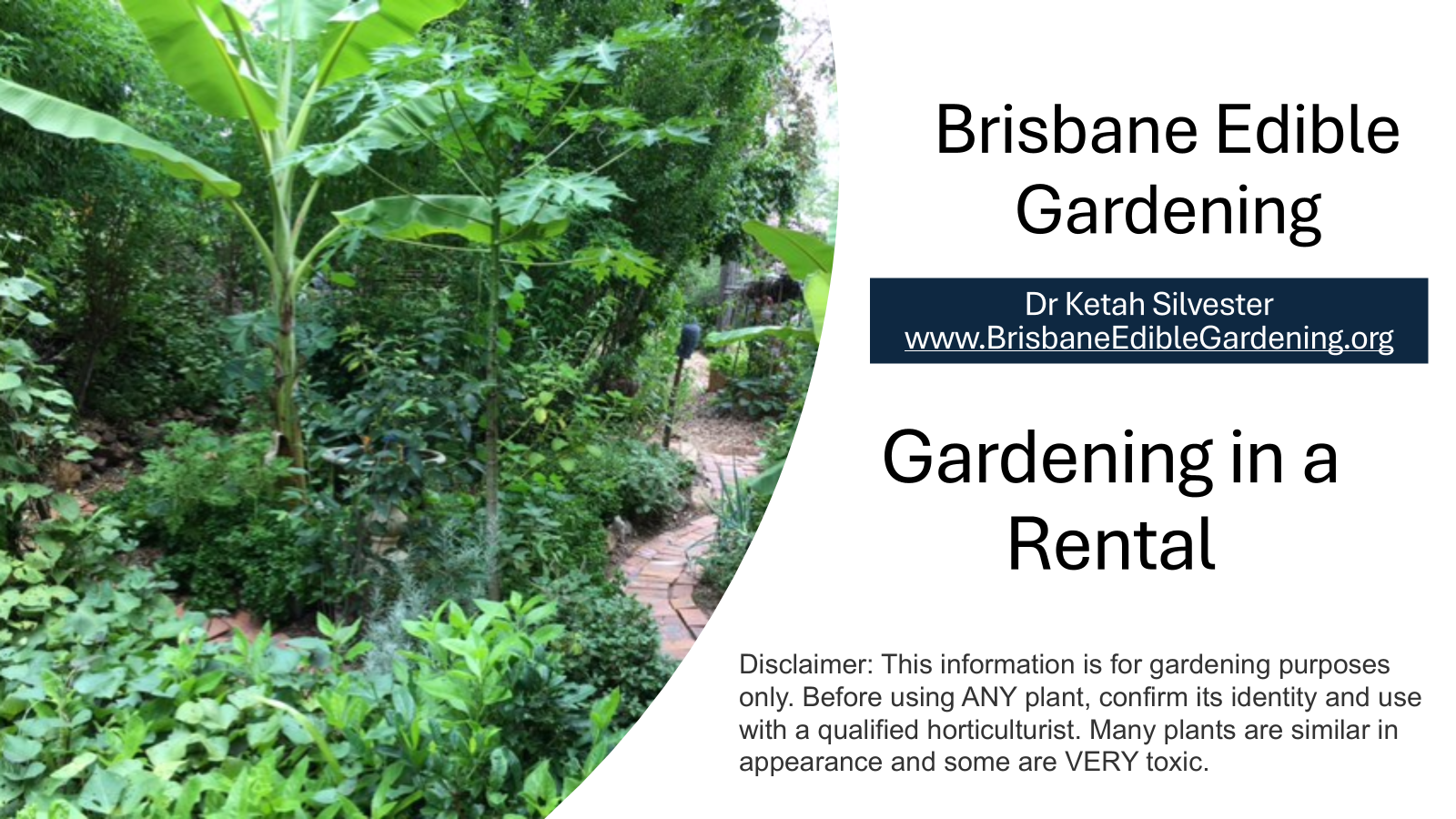 Gardening in a Rental – Brisbane Edible Gardening